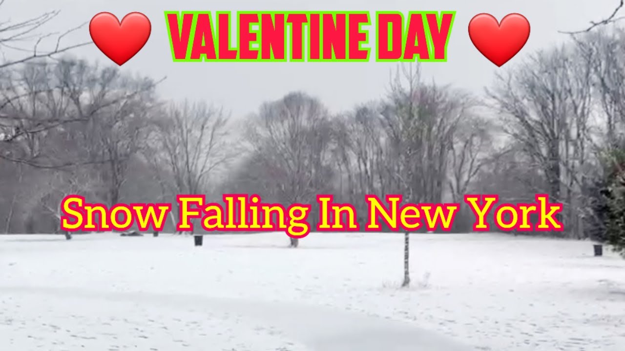 Valentine Day Snow Falling In New York || Beautiful Snowing Day New ...
