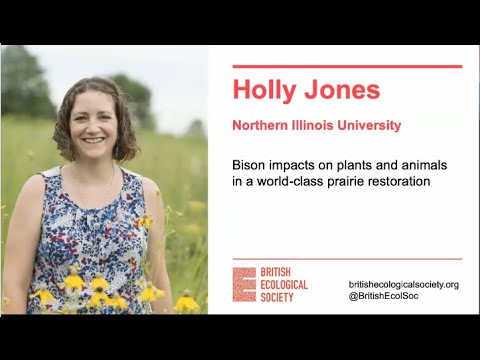 Ecology Live with Holly Jones - Bison impacts on plants and animals in ...
