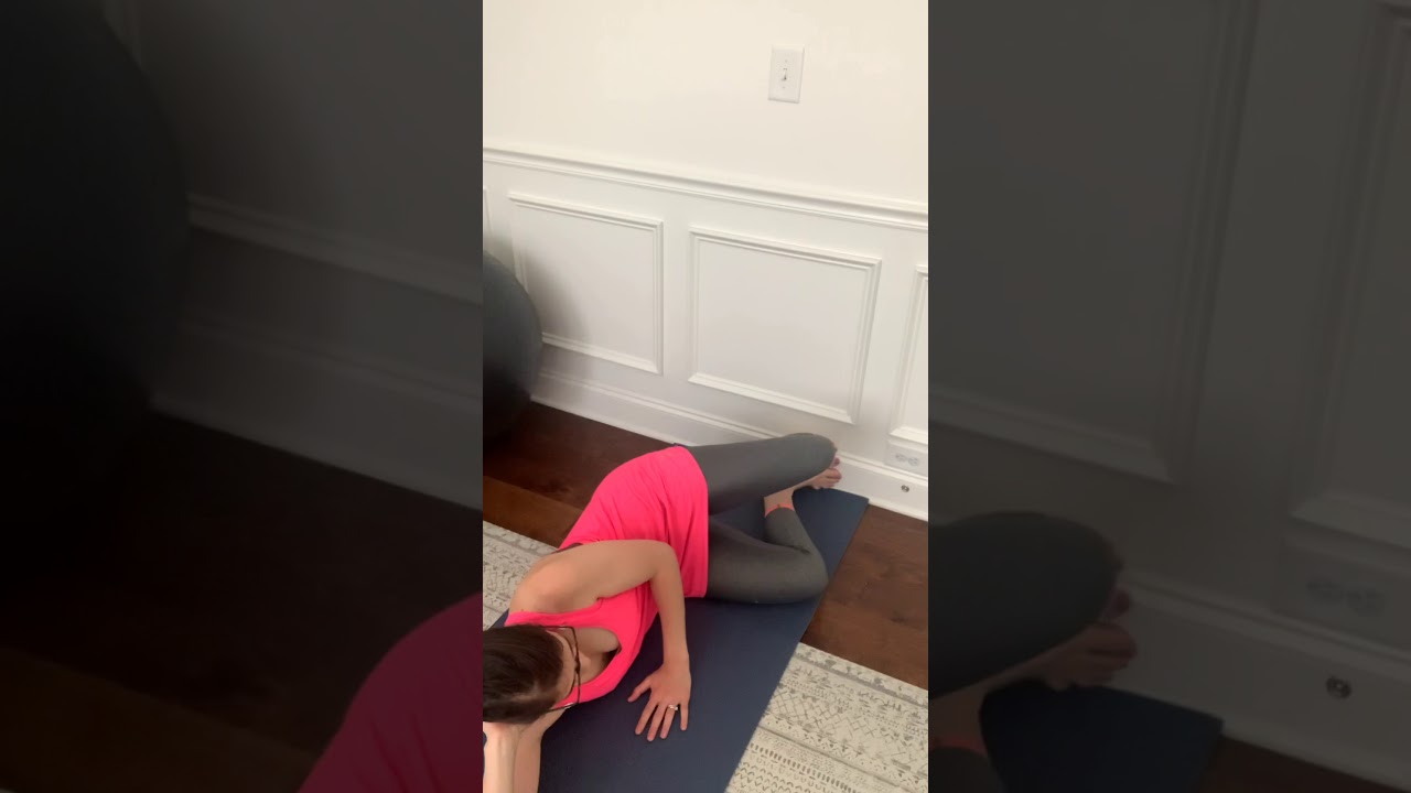 Clam Shells Against Wall - YouTube