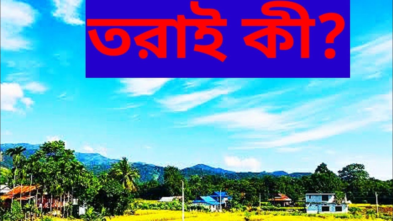 Tarai কী?/তরাই অঞ্চল কী?/What is Tarai Region?/Madhyamik Geography ...