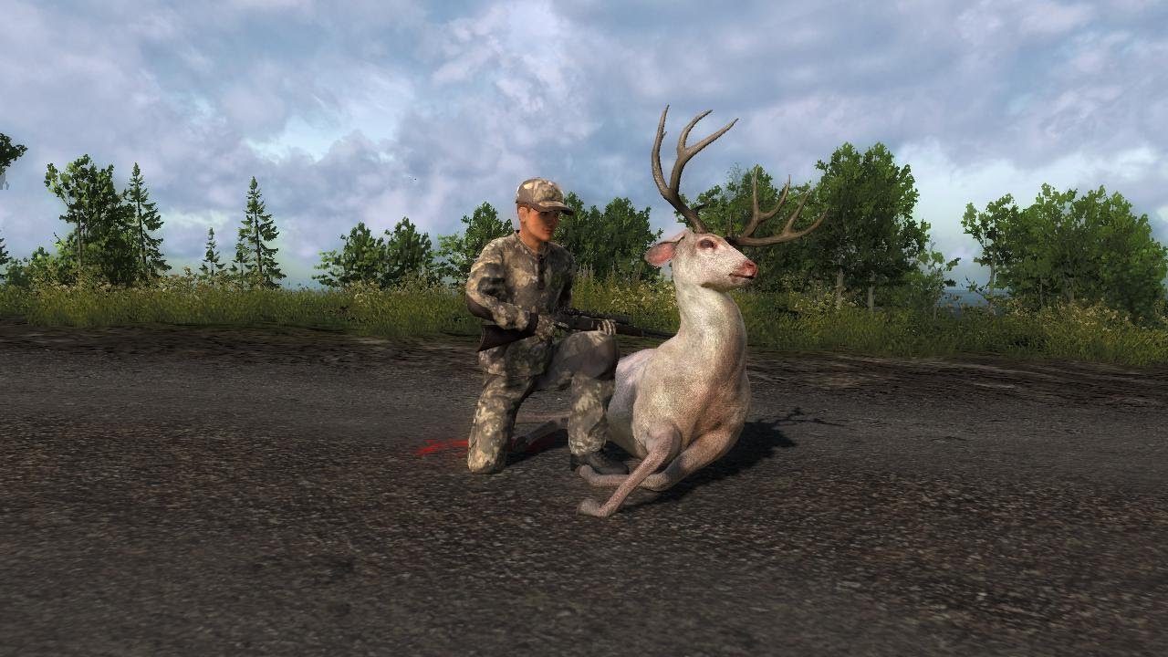 The Hunter-Albino Blacktail Deer - YouTube
