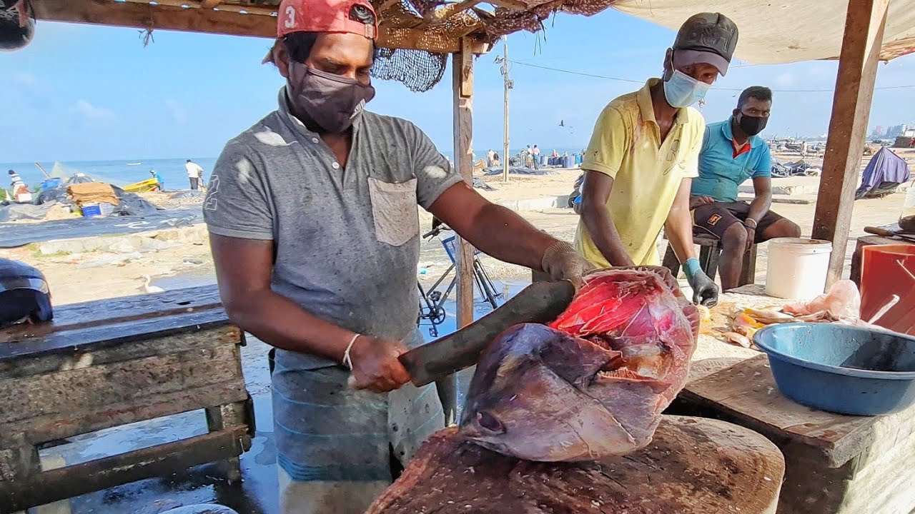 Huge Yellowfin Tuna Fish Head Cutting into Pieces | Kerala style 🇮🇳 ...