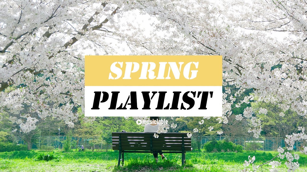 🌸봄이왔어요🌸 따듯한 봄을 담은 BGM | Spring BGM | Spring Mood - YouTube