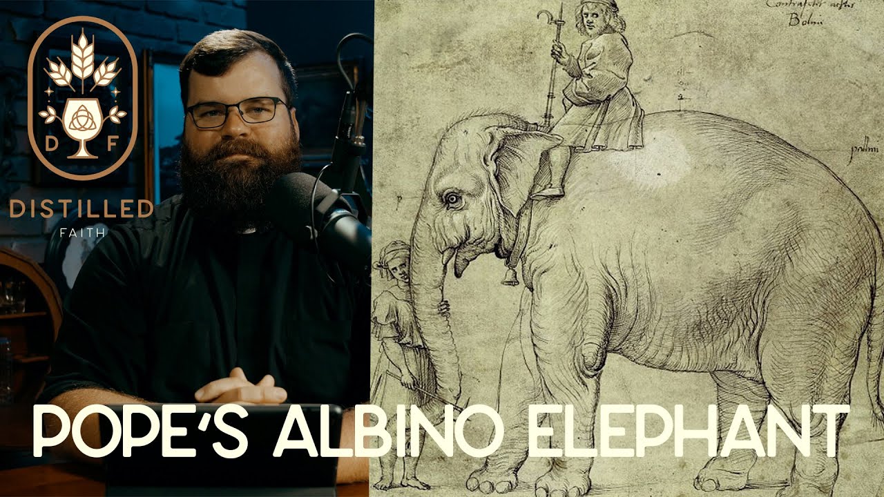 Hanno, the Pope's Albino Elephant // Distilled Faith - YouTube