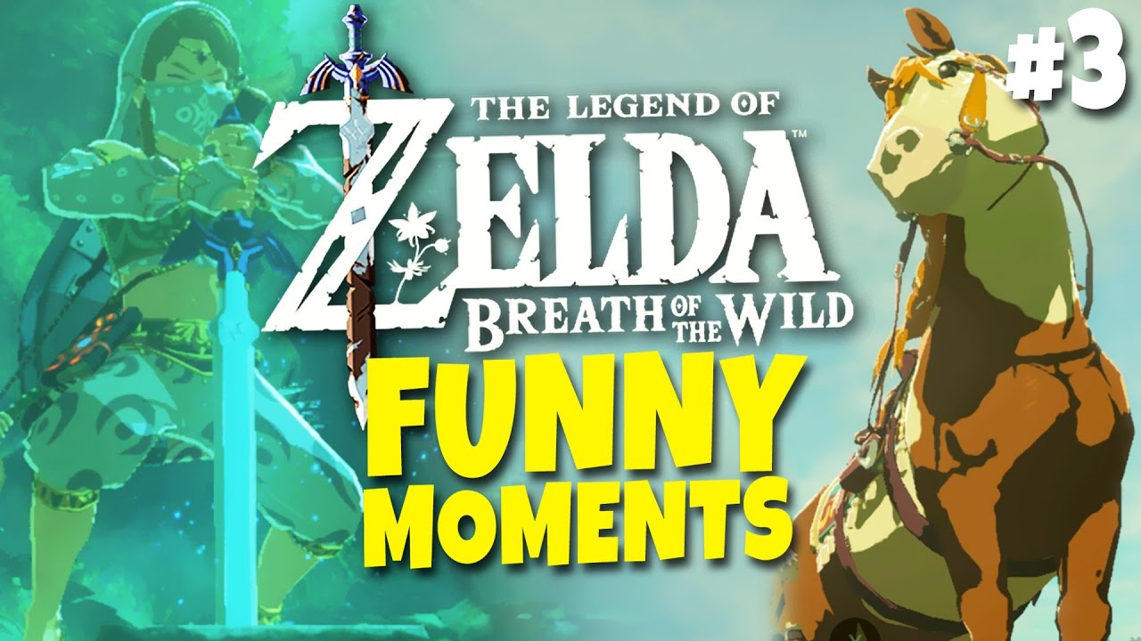 Funny Zelda Moments