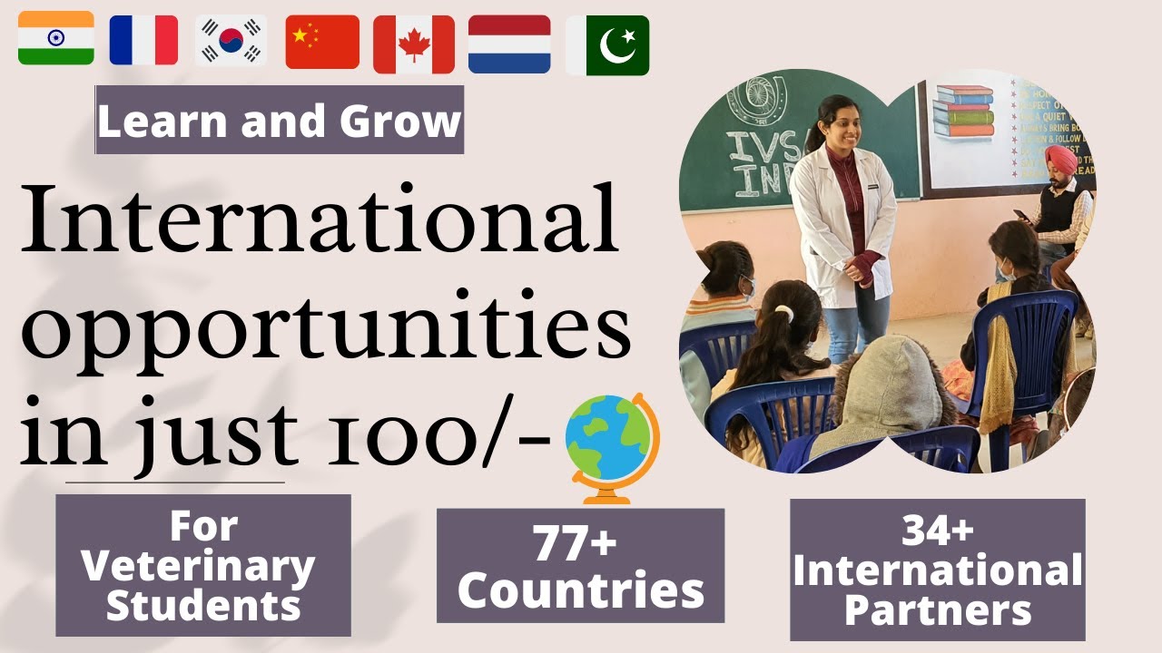 Opportunity that No veterinary Student must miss IVSA International ...