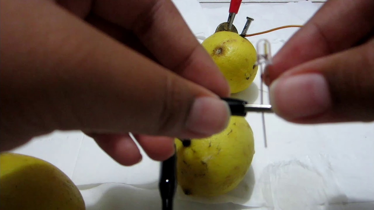 Penerapan Alternatif Energi Listrik Dari Buah Lemon Citrus Limon - YouTube