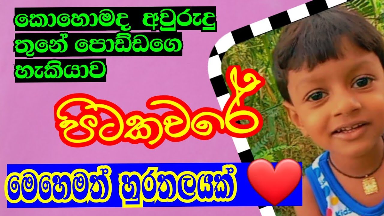 පිටකවරේ අමු සිංදුව./ pitakaware song cover by Vidu ️ - YouTube
