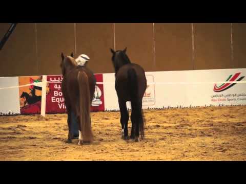 Ali Al Ameri Adihex 2013 - YouTube