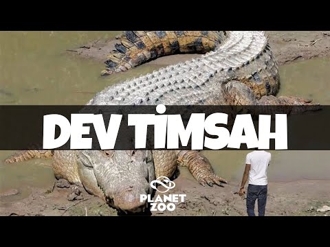 DEV TİMSAH! - PLANET ZOO
