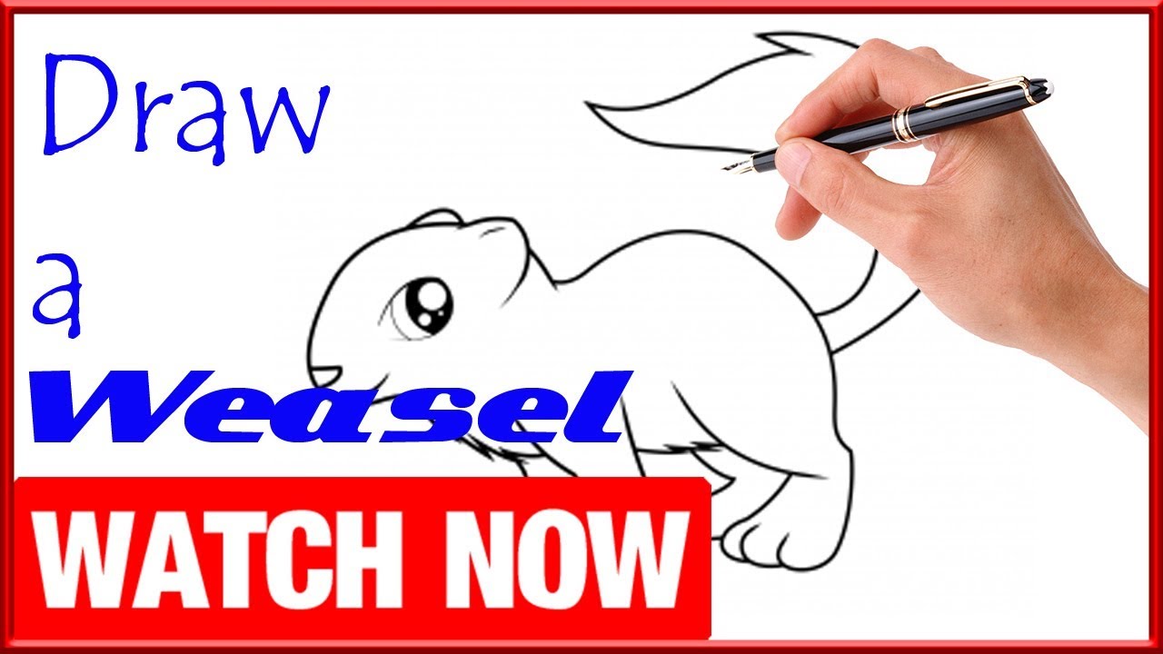 How To Draw A Weasel - Learn To Draw - Art Space - YouTube