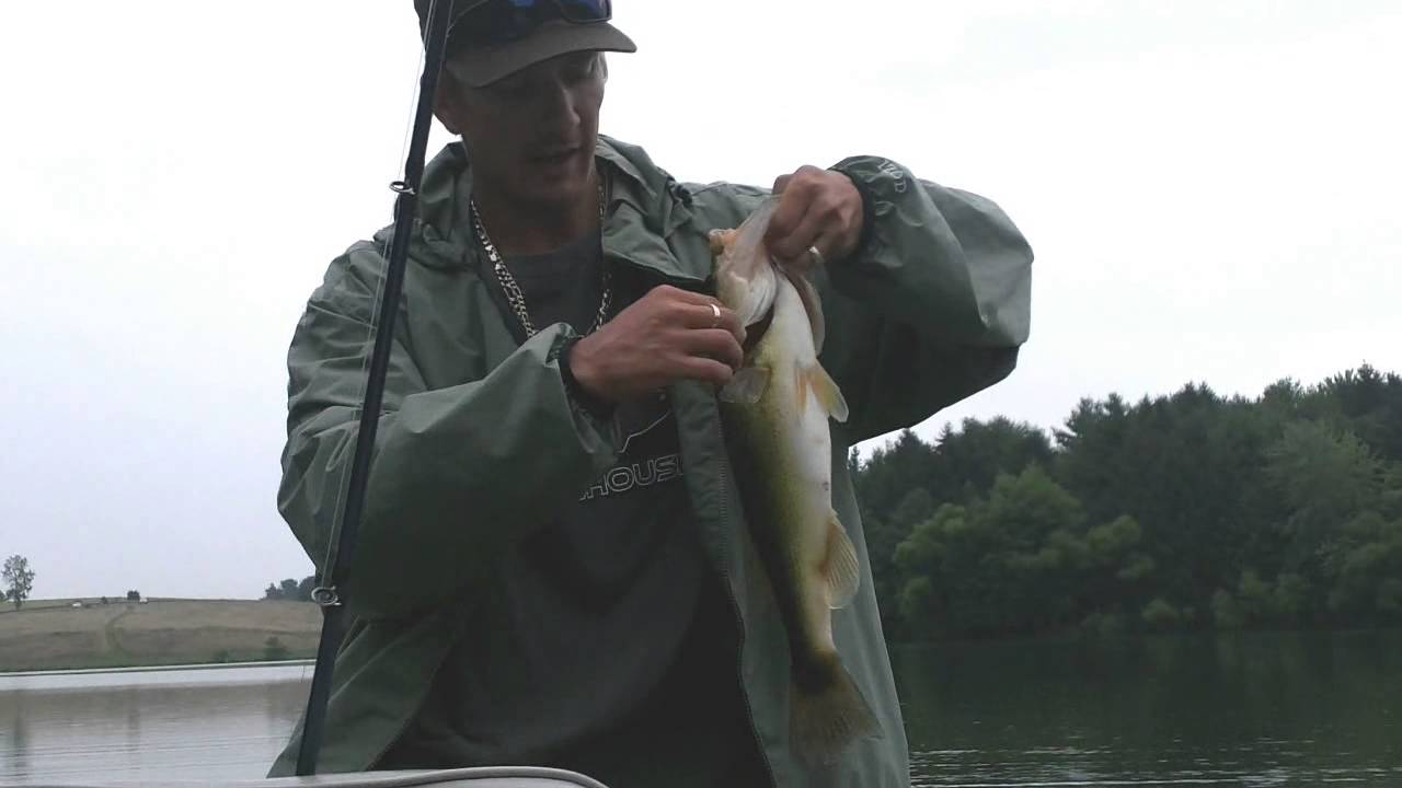 LONG ARM DAM BIG FISH FROM SMALL WATERS - YouTube