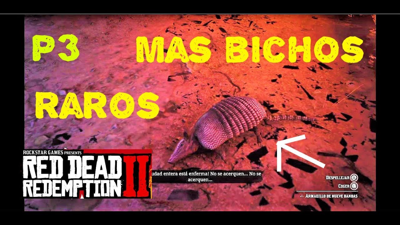 ARMADILLO DE NUEVE BANDAS , BICHO RARO,( localizacion ) RED DEAD ...