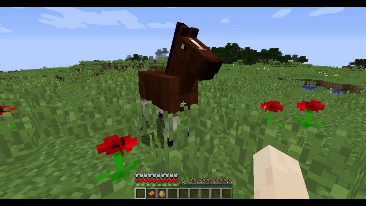 como domar um cavalo no minecraft - YouTube