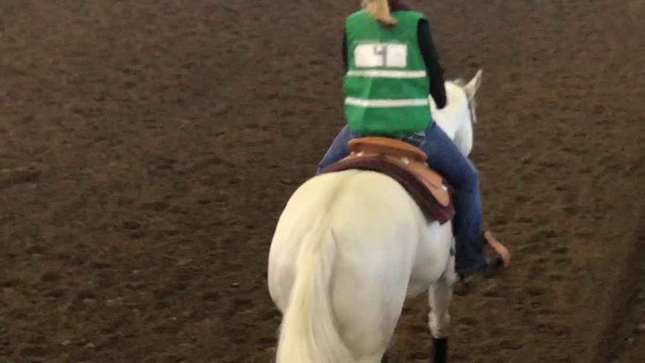 Western Horsemanship on the Rail - YouTube