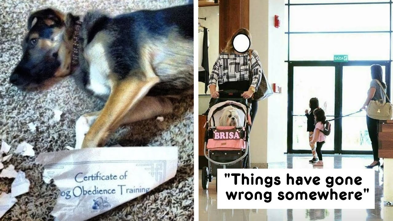 The Most Ironic Images That Show The Universe Has A Great Sense Of ...