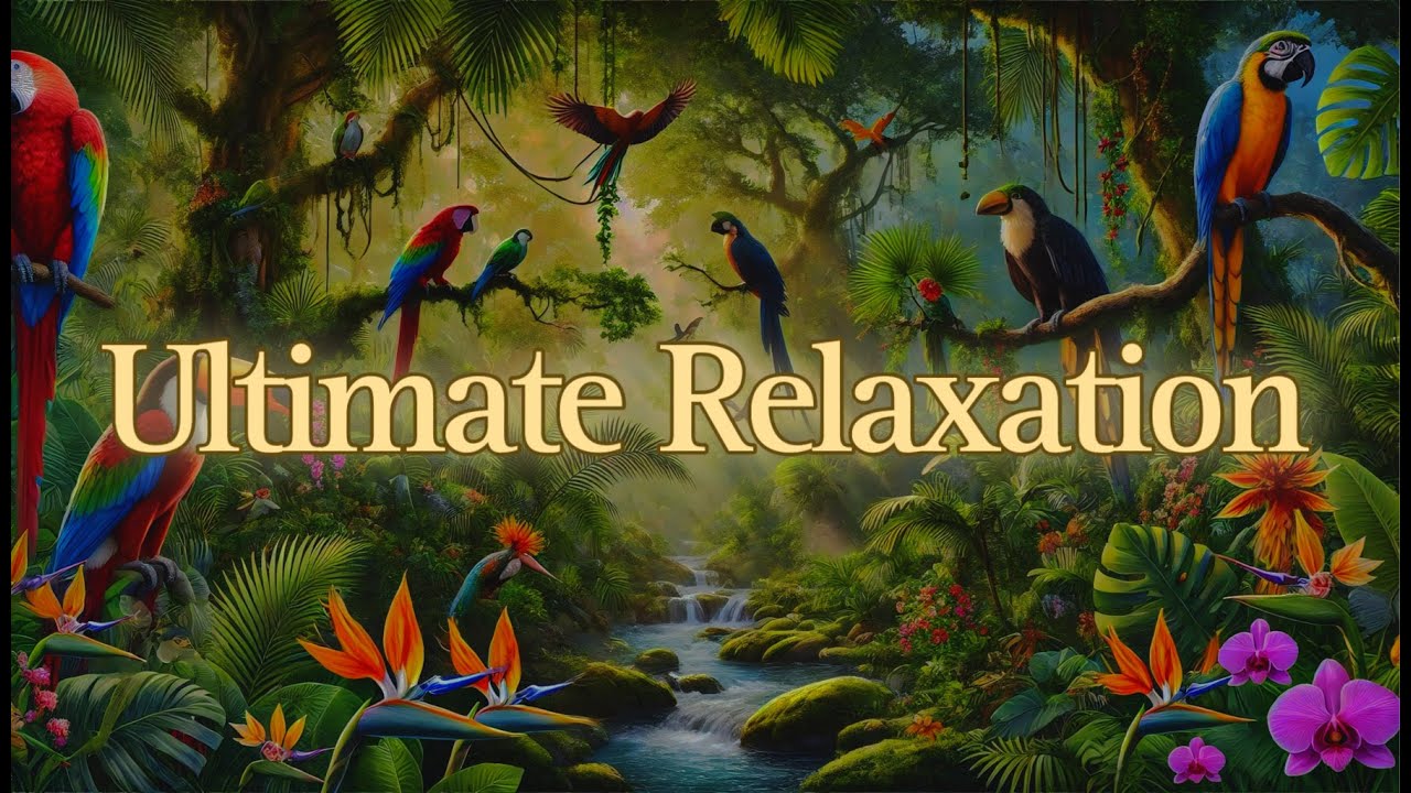 Calm your mind | Relaxing music that soothe the soul - YouTube