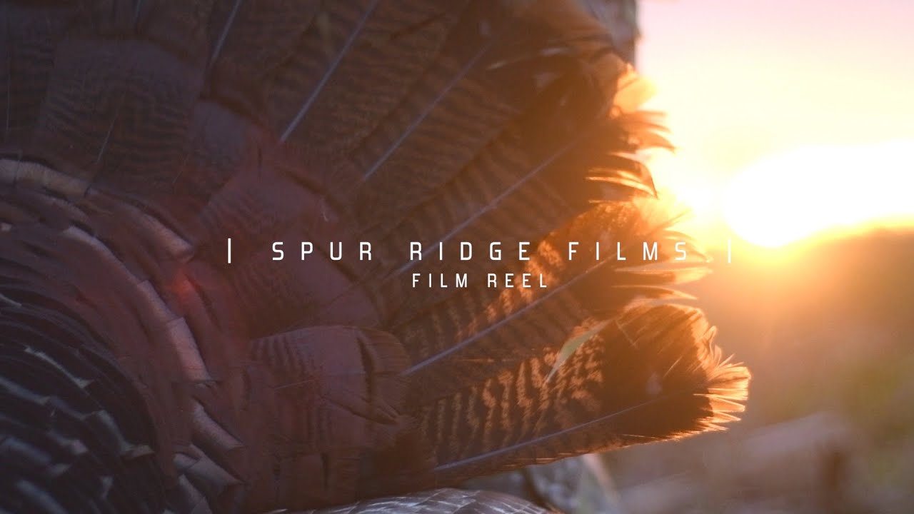 Spur Ridge ~ Spring Film Reel - YouTube
