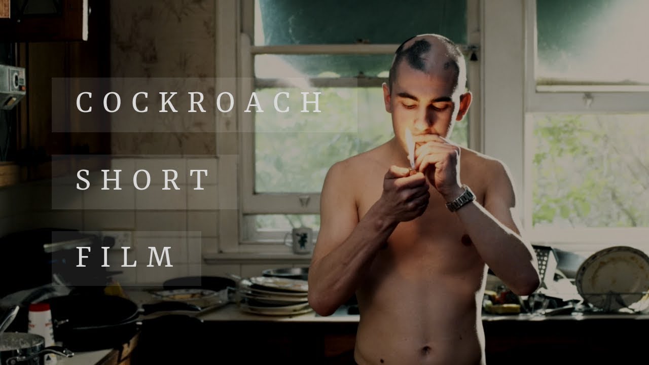 Cockroach - Short Film | A share-house kitchen story. - YouTube