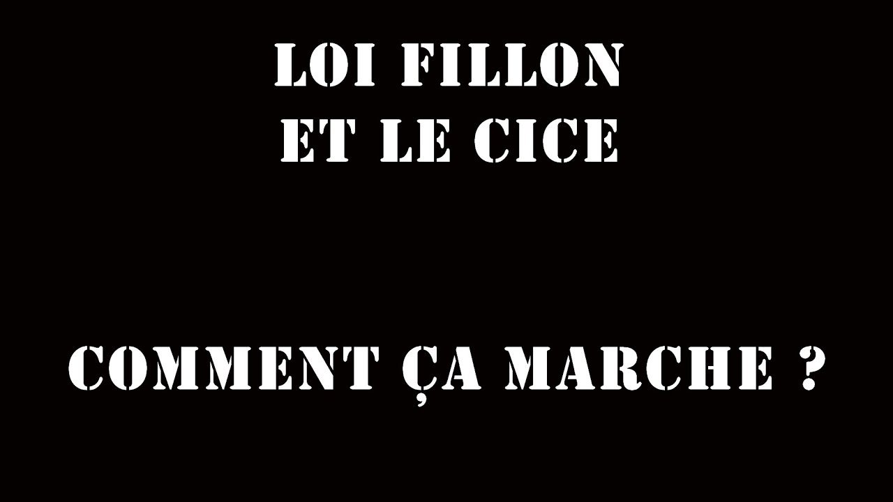 #02analyse_Loi Fillon et CICE - YouTube