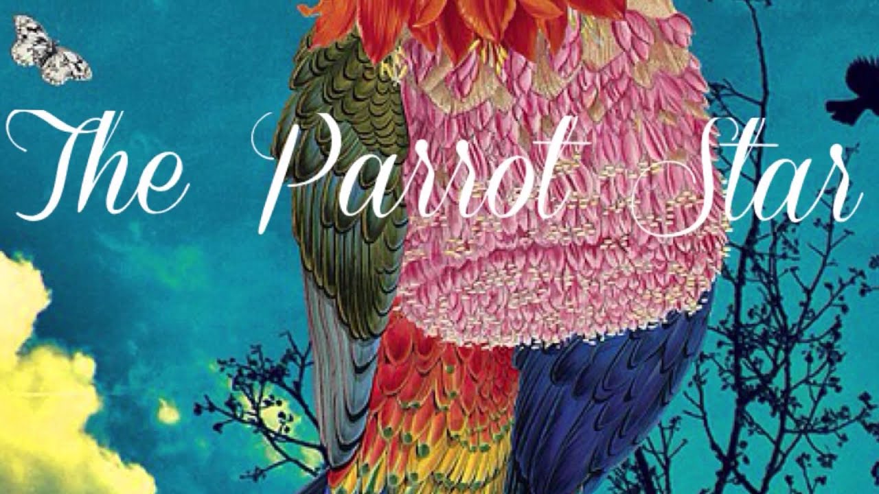 The Parrot Star intro clip - YouTube