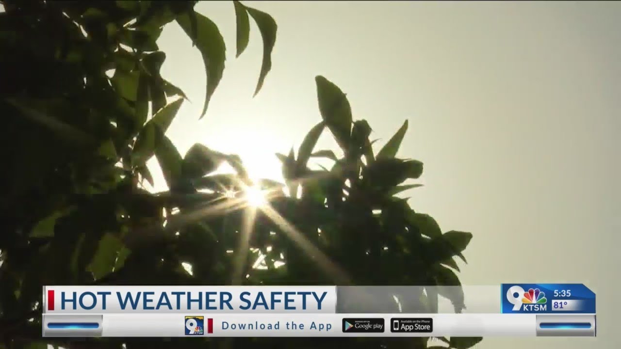 Hot weather safety - YouTube