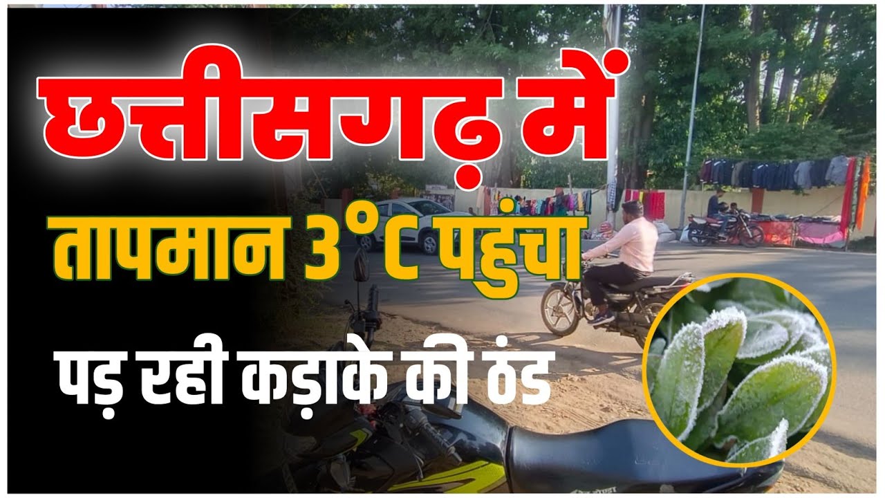 Chhattisgarh Samachar : CG News Today, Chhattisgarh News, CG News, CG ...