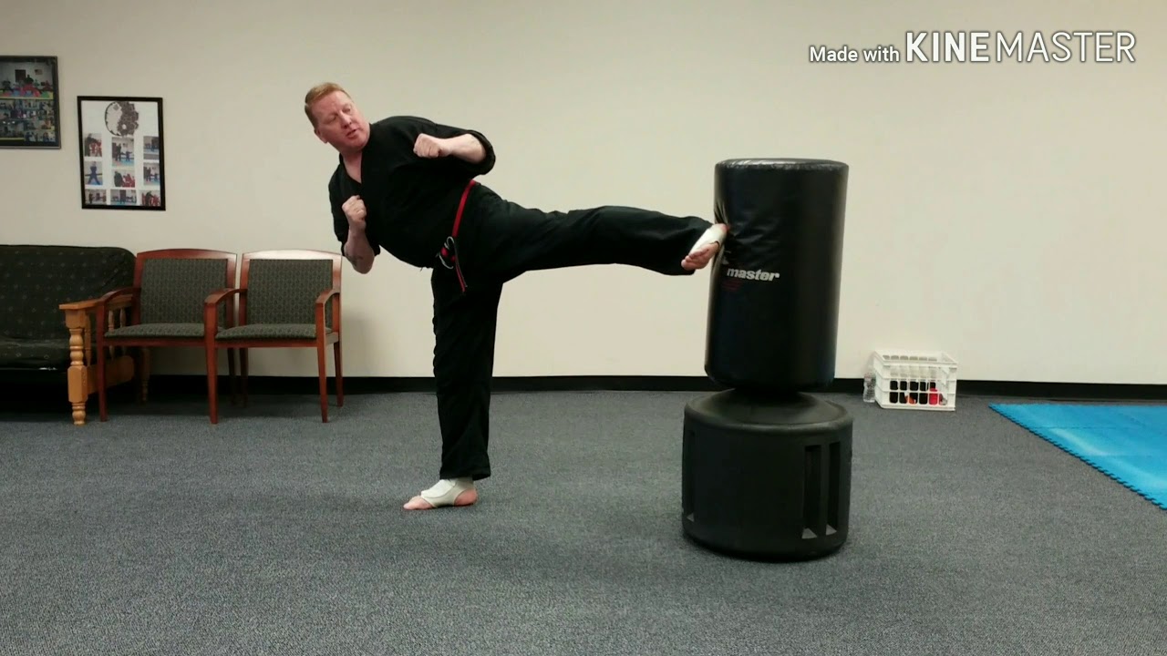 Video Tutorial -- Spinning Back Kick - YouTube