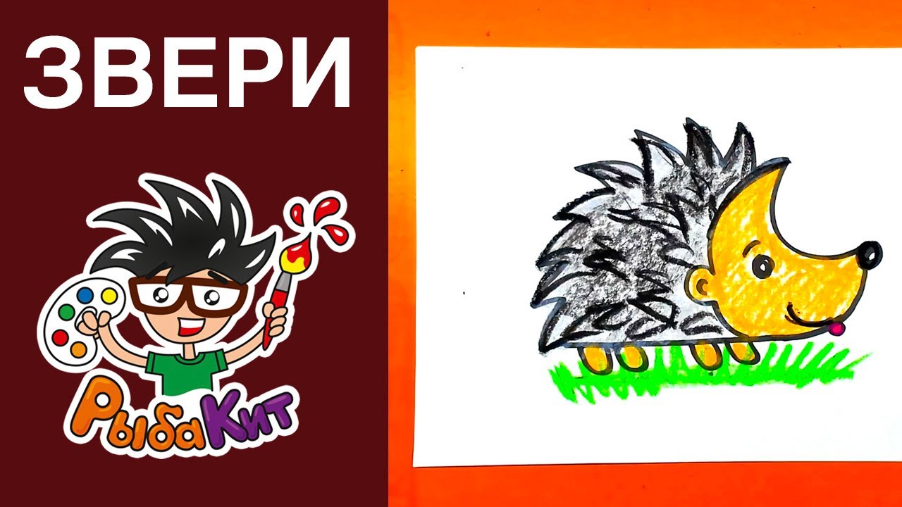 Как нарисовать ЁЖИКА Звери РыбаКит Youtube