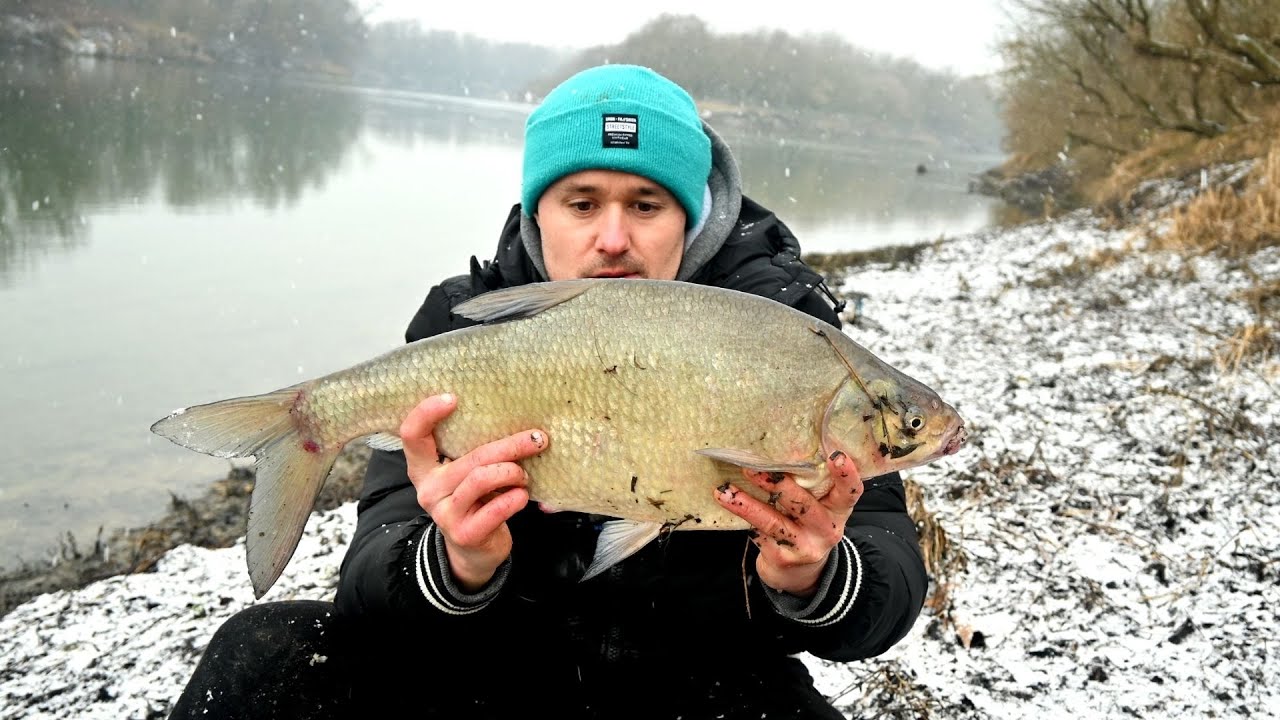 Krupne Deverike iz Savskih dubina - ZIMSKI FEEDER RIBOLOV - YouTube