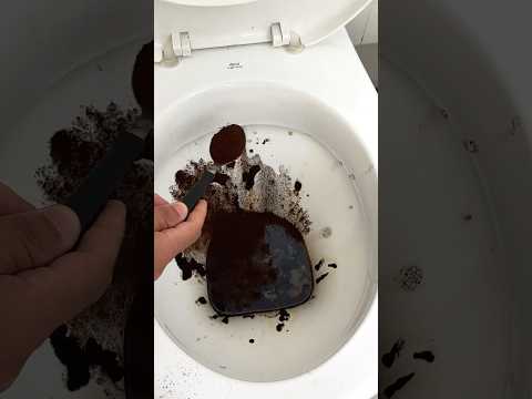 Du Café Dans Les WC: Astuce Qui Marche!