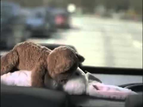 Blaupunkt Naughty Stuffed Animals Commercial - YouTube