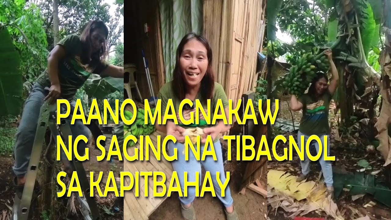 Paano magnakaw ng saging na tibagnol sa kapitbahay - YouTube