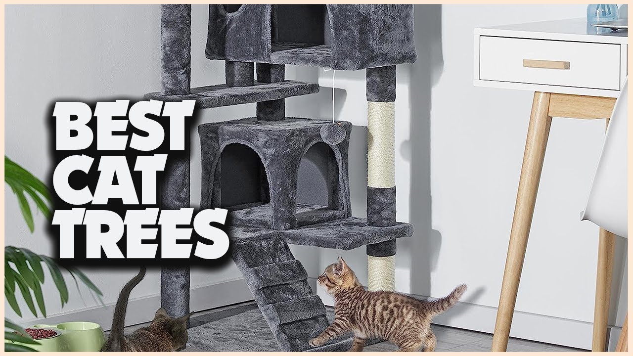 The 5 Best Cat Trees, With Expert Insight - YouTube