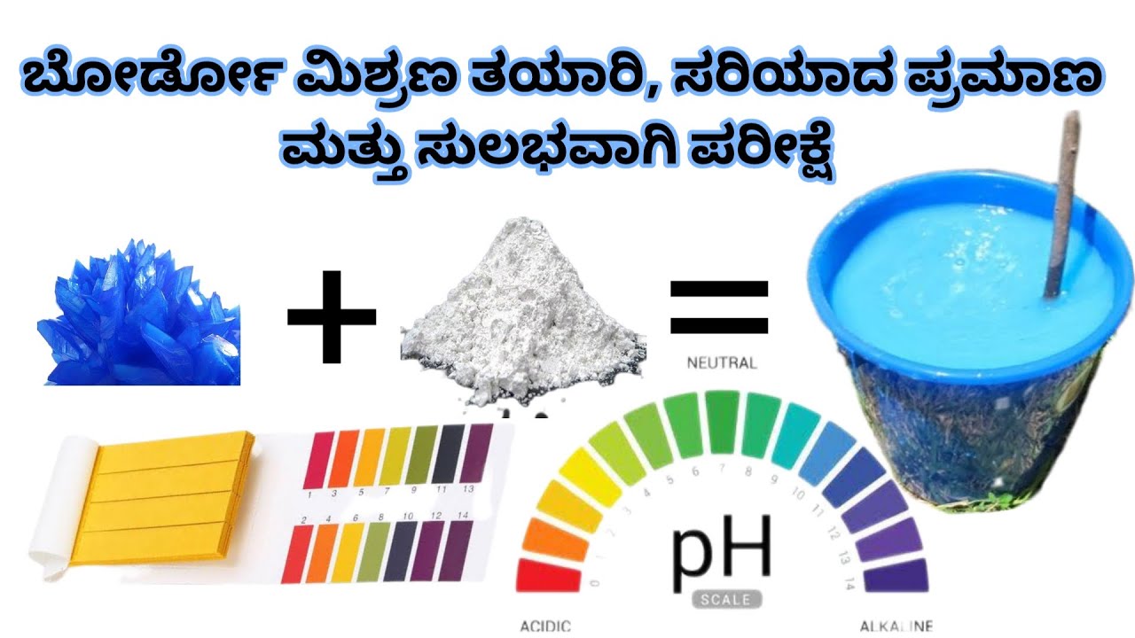 Bordeaux mixture proportion, procedure and easy testing technique of ...