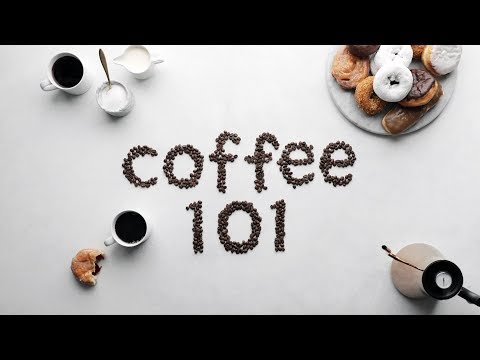 Everything You've Ever Wanted To Know About Coffee