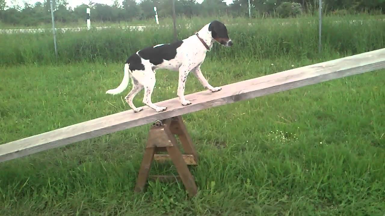 Timo auf der Wippe - YouTube