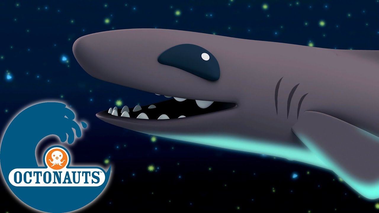 Octonauts - Le requin-lanterne nain | Dessins animés pour enfants - YouTube