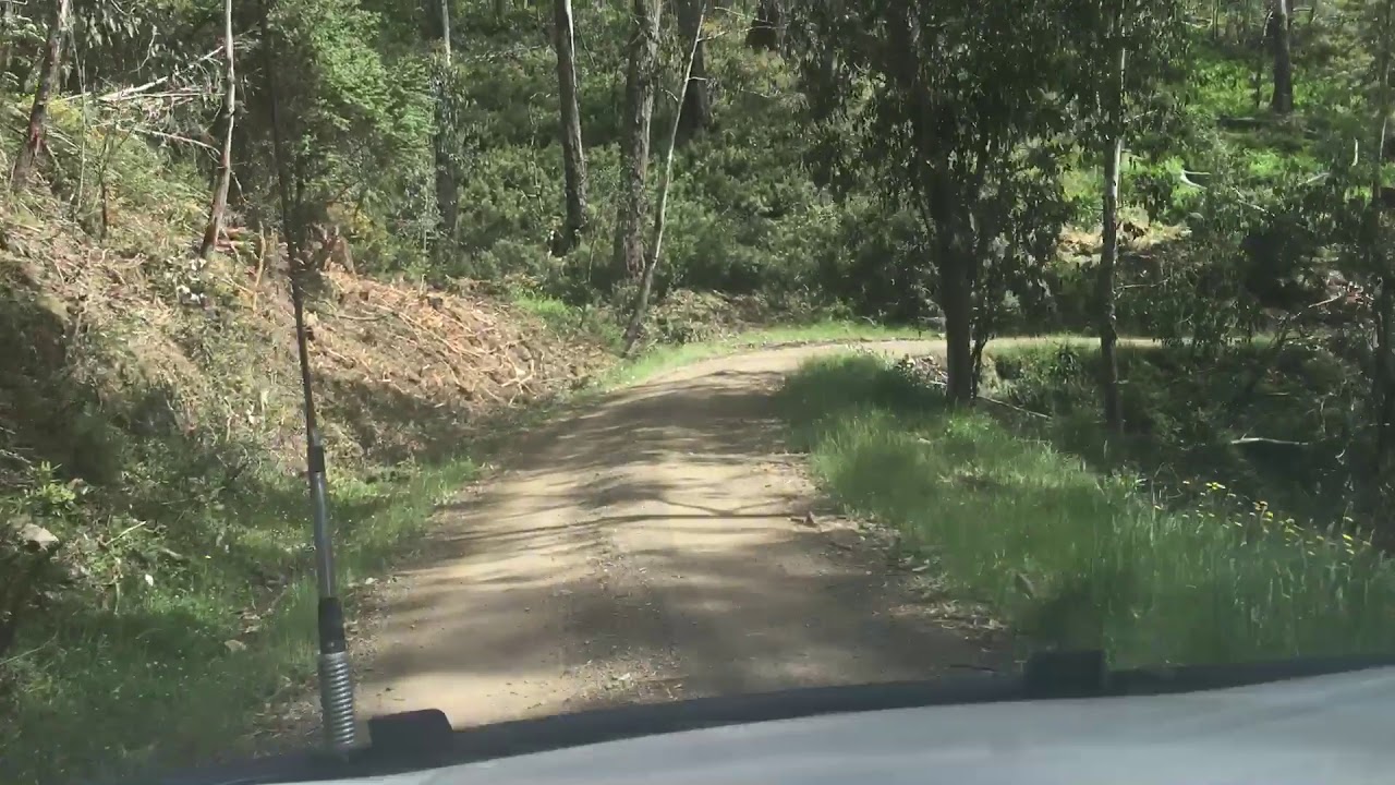 Driving on the Circuit Road Mt Buller VIC - YouTube