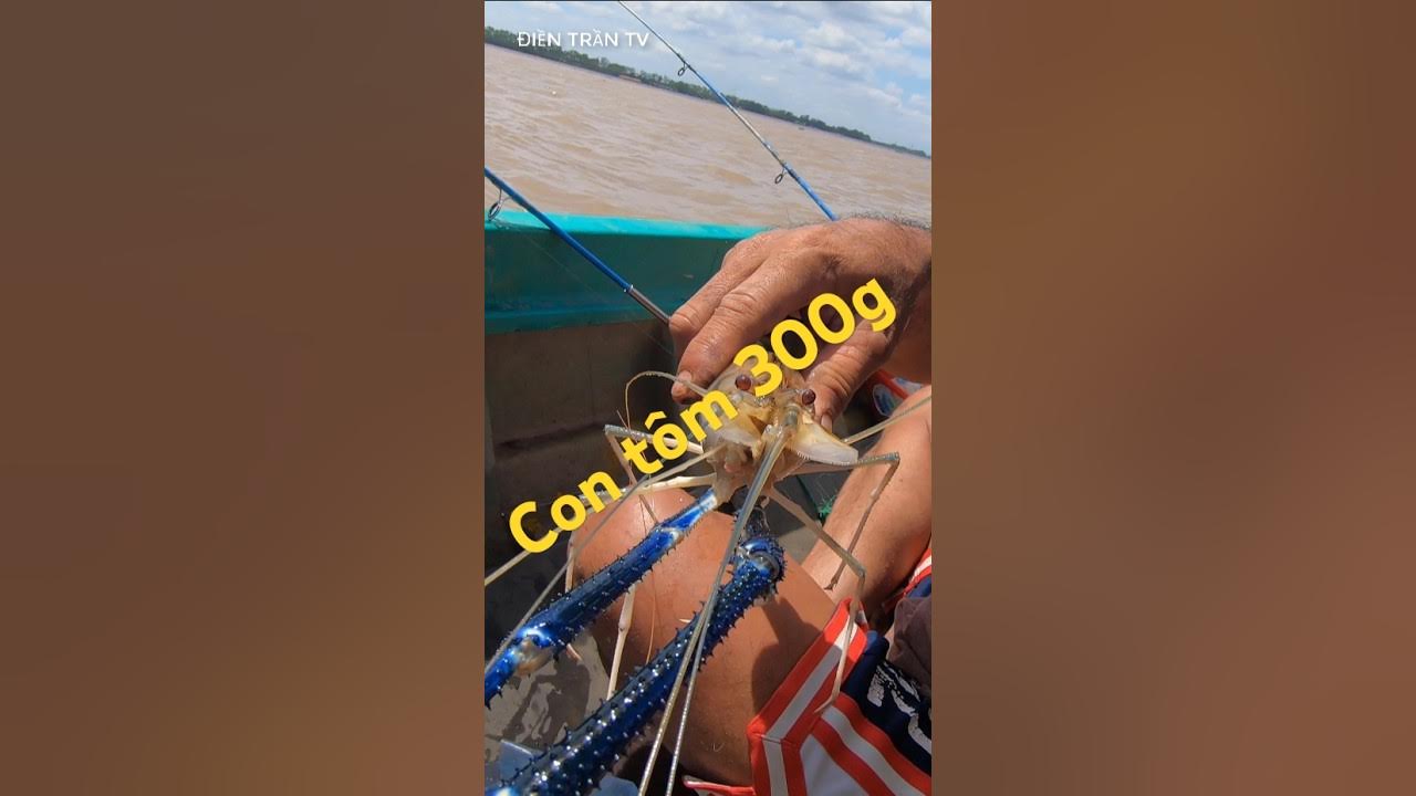 Con tôm 300g - YouTube