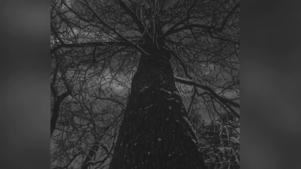 Ghostemane - Andromeda [lyrics] - YouTube