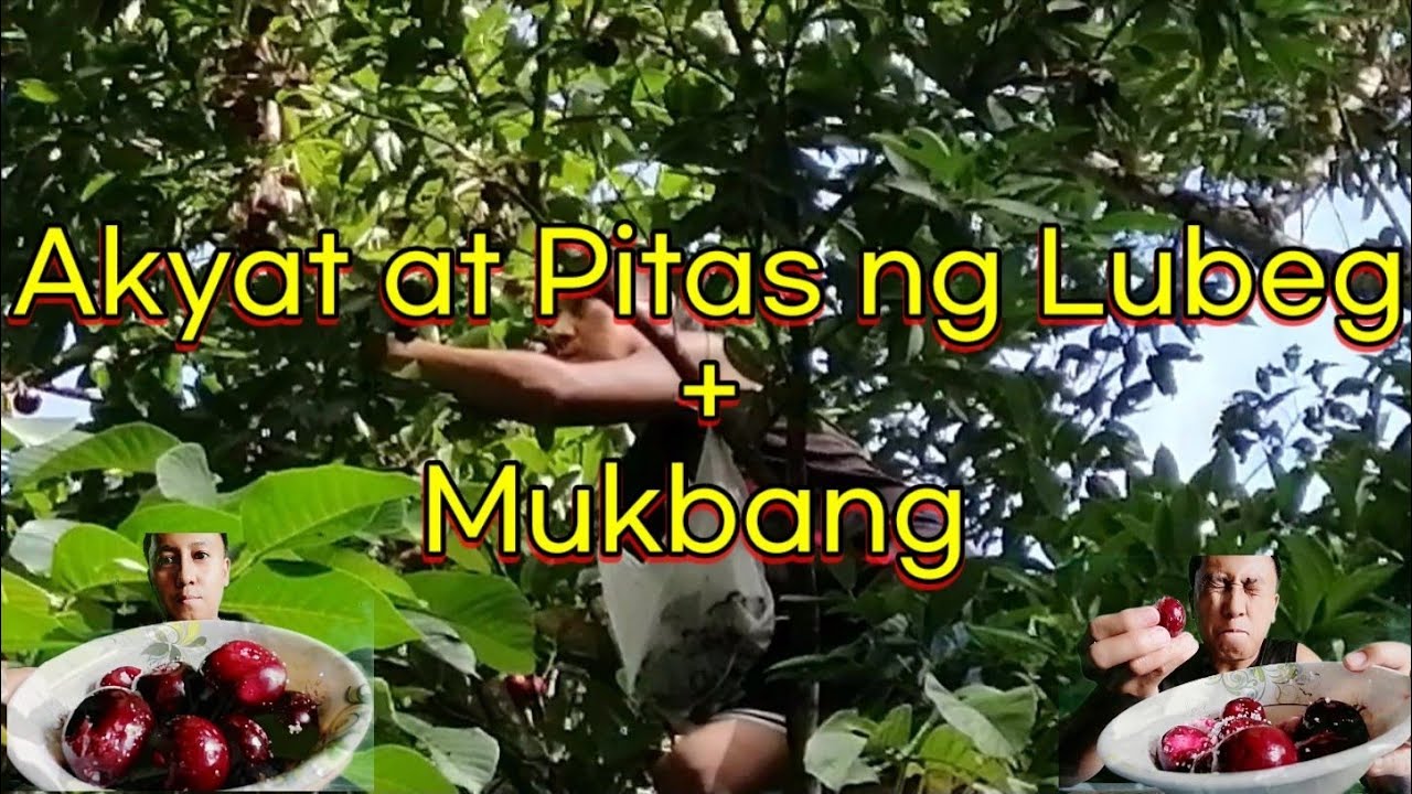 Akyat at Pitas ng Lubeg + Mukbang - YouTube