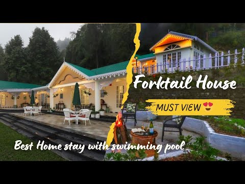 FORKTAIL HOUSE | Best Homestay in Lava - YouTube