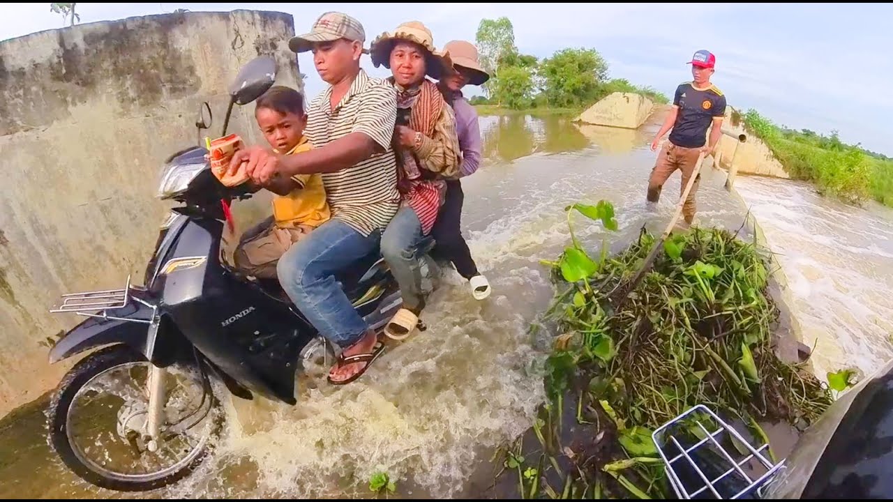 Clogged Dam!!! Removal Plants Clogged On Dam Drain Water - YouTube