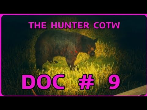 The hunter COTW DOC # 9 . BLACK BEAR BOW hunting GUIDE Call of the Wild ...