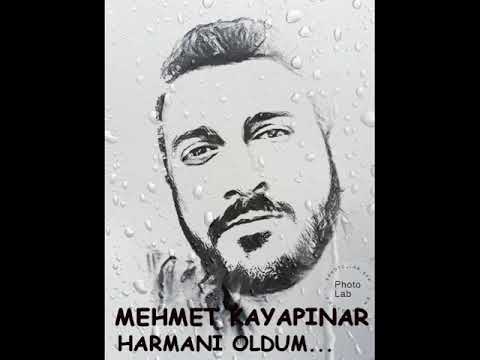 MEHMET KAYAPINAR-HARMANI OLDUM