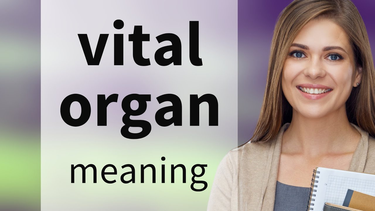 Vital organ | VITAL ORGAN definition - YouTube