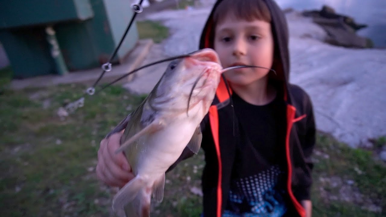 Beaver Dam Catfish Fishing - YouTube