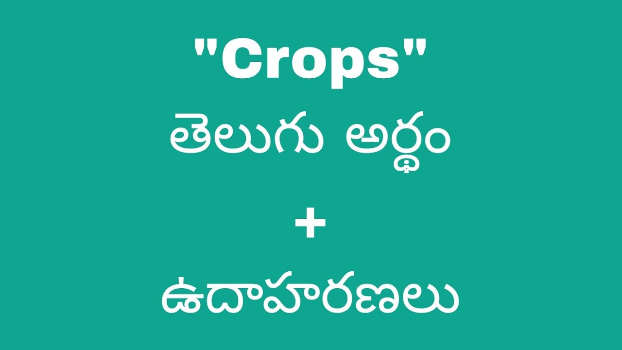 Crops Meaning In Telugu With Examples Crops Meaning crops-meaning-in-telugu-with-examples-crops-meaning