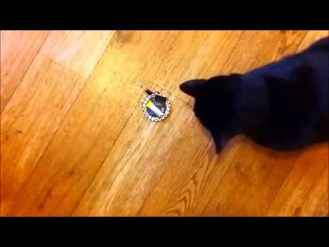 Arduino cat toy - YouTube
